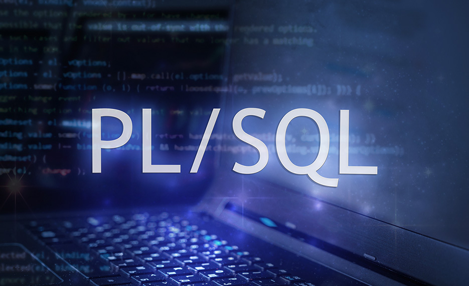 Online Oracle Sql And Plsql Developer From Big Sandy Community And Technical College